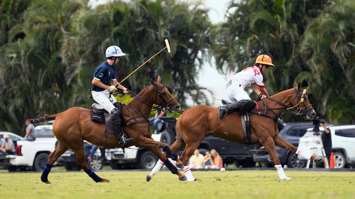 Galloping Beyond Privilege: Prince Harry and Meghan Markle’s Human ...
